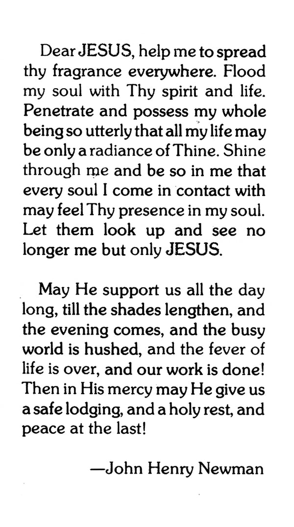 Dear Jesus Help Me A - LAMINATED HOLY CARDS- QUANTITY 25 PRAYER CARDS ...