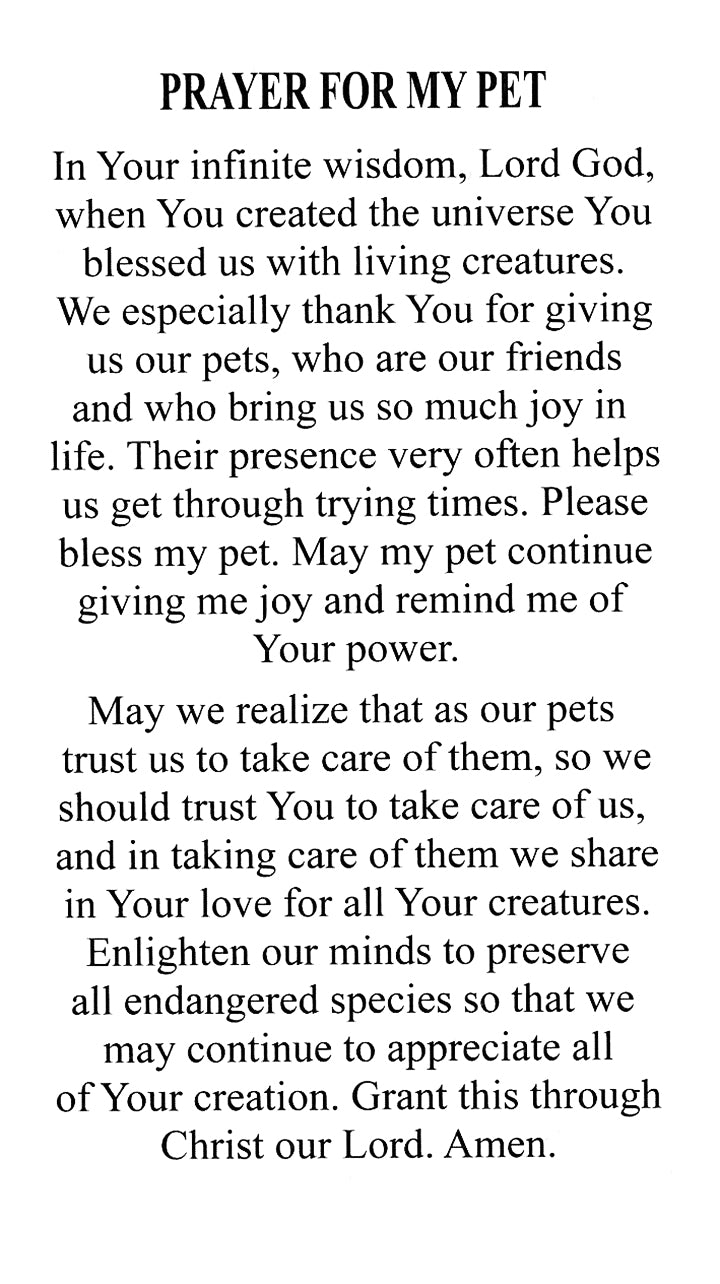 Prayer For My Pet A - LAMINATED HOLY CARDS- QUANTITY 25 PRAYER CARDS ...