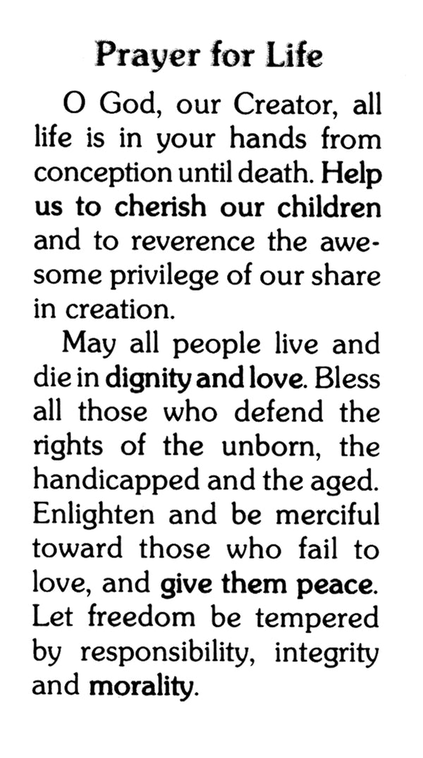 Prayer for Life A - LAMINATED HOLY CARDS- QUANTITY 25 PRAYER CARDS ...