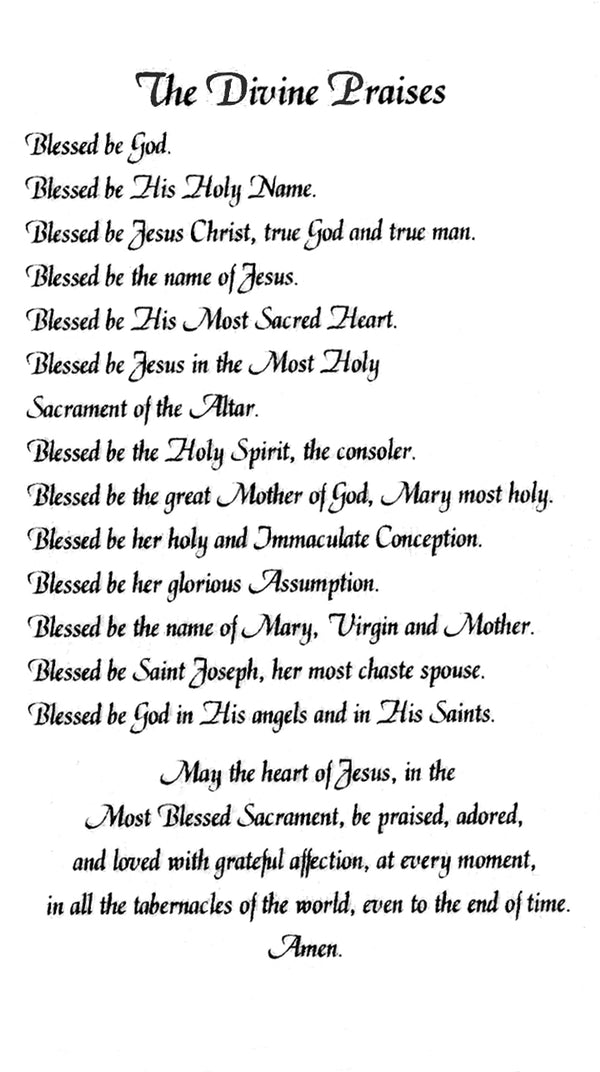 The Divine Praises A - LAMINATED HOLY CARDS- QUANTITY 25 PRAYER CARDS ...