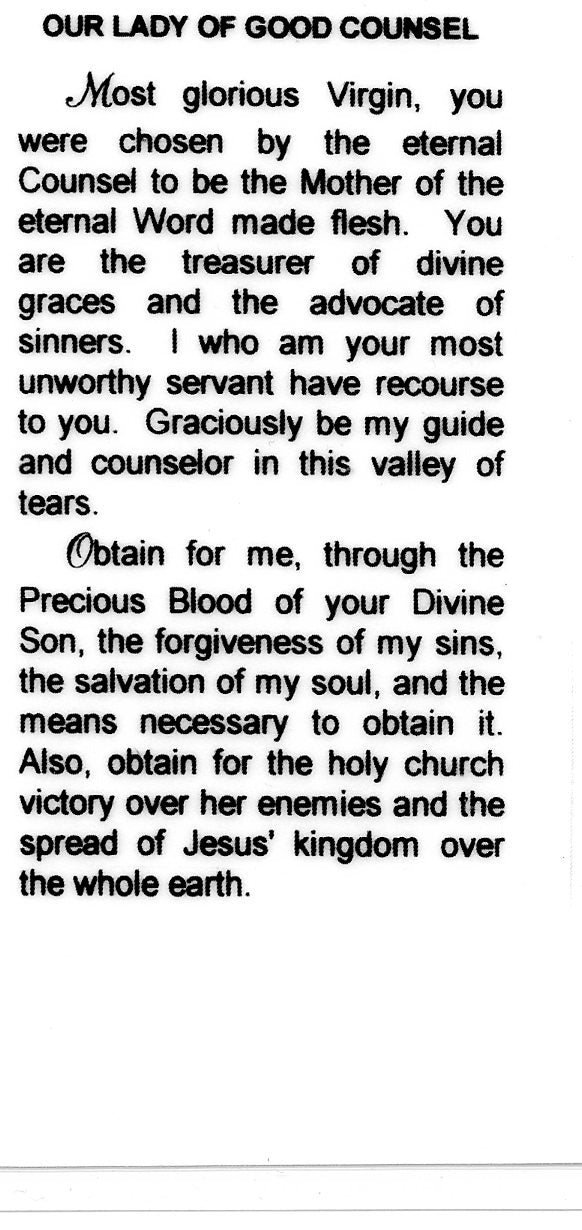 Our Lady of Good Counsel U - LAMINATED HOLY CARDS- QUANTITY 25 PRAYER ...