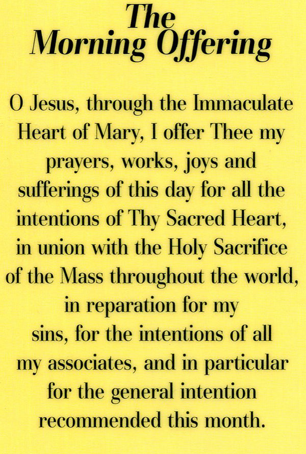The Morning Offering N - LAMINATED HOLY CARDS- QUANTITY 25 PRAYER CARD ...