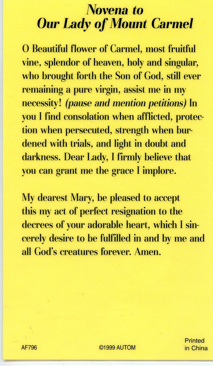 OUR LADY OF MOUNT CARMEL- LAMINATED HOLY CARDS- QUANTITY 25 PRAYER CAR - Catholic Pictures