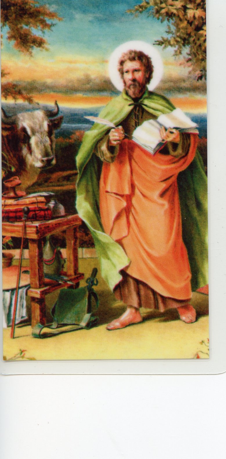 ST. LUKE - LAMINATED HOLY CARDS- QUANTITY 25 PRAYER CARDS - Catholic ...